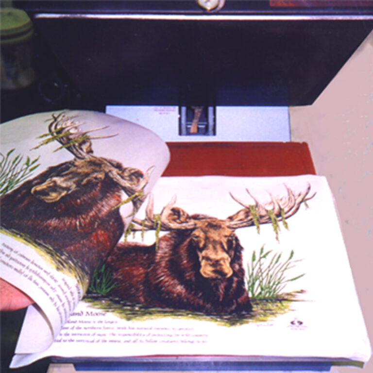 Epic Transflex Inks - Juhl